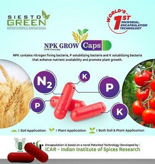 Crop Production :: Fertigation Fertilizers :: NPK Capsule - Agroduka