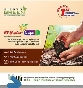 Crop Production :: Fertigation Fertilizers :: P.S.B Plus(Phosphate ...