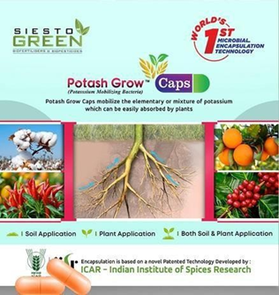 Crop Production :: Fertigation Fertilizers :: Potash Grow Caps - Agroduka