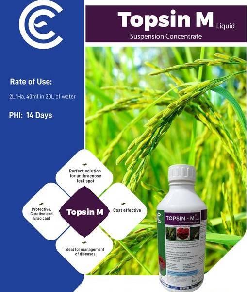 Crop Production :: Fungicides :: Topsin M - Agroduka