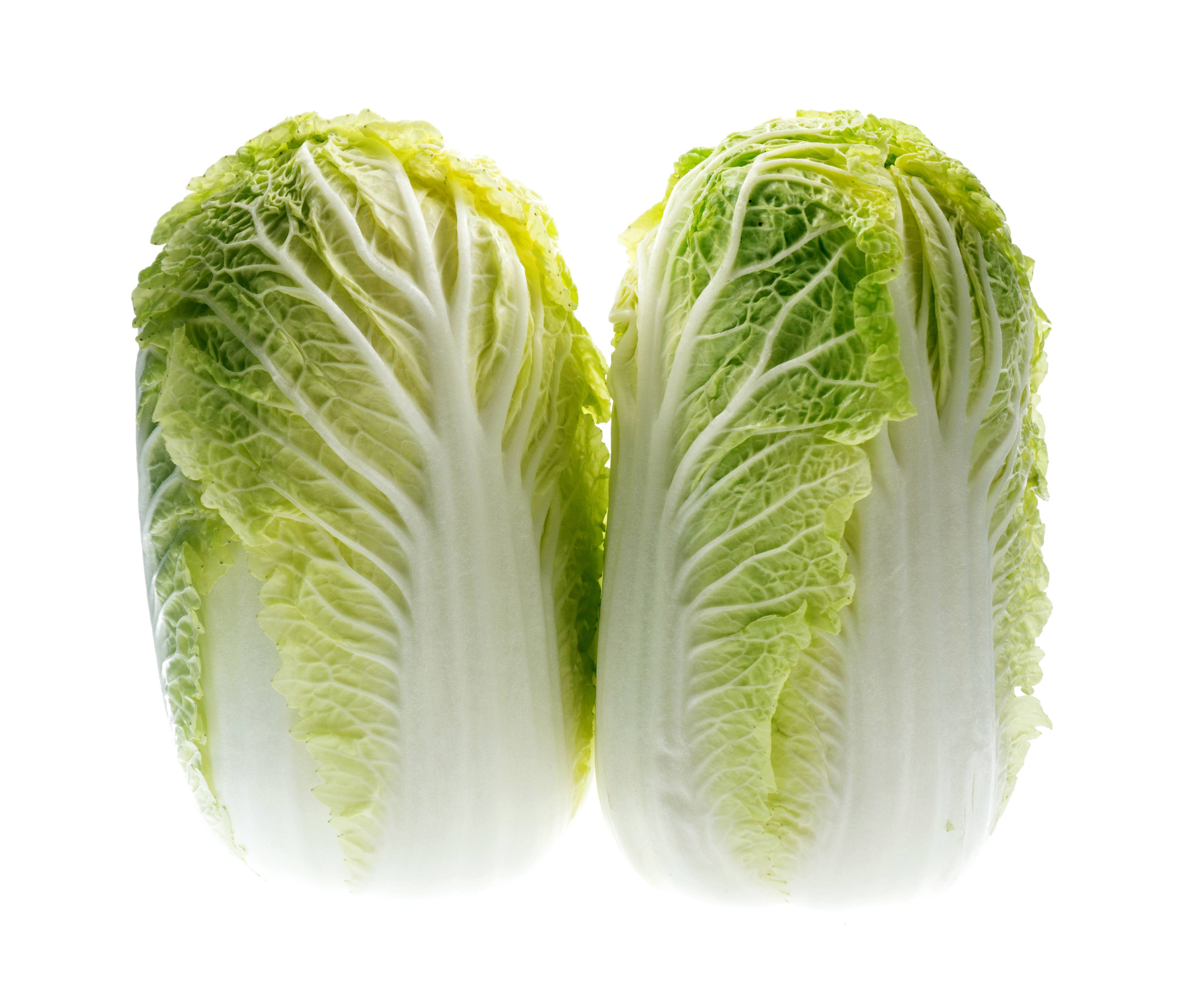 Chinese Cabbage | Agroduka Limited