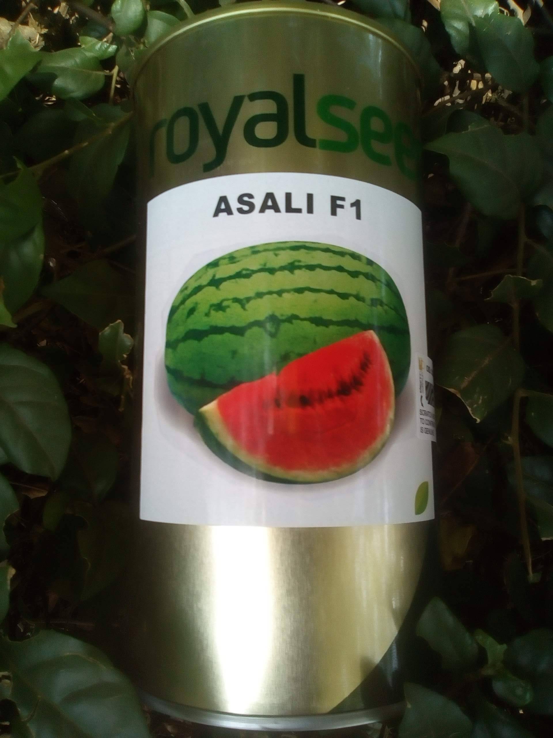 Asali F1 | Agroduka Limited