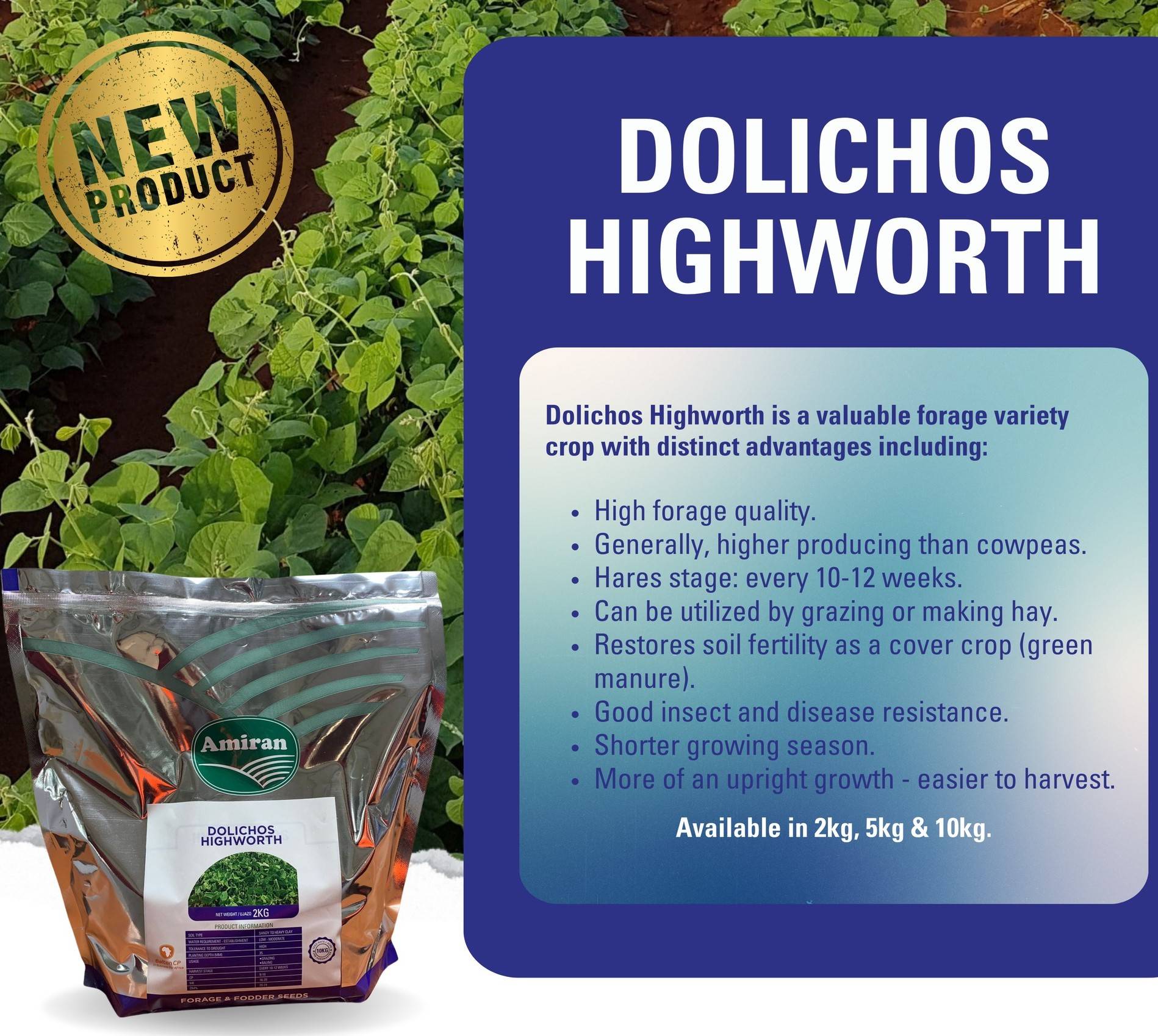 Dolichos Highworth | Agroduka Limited