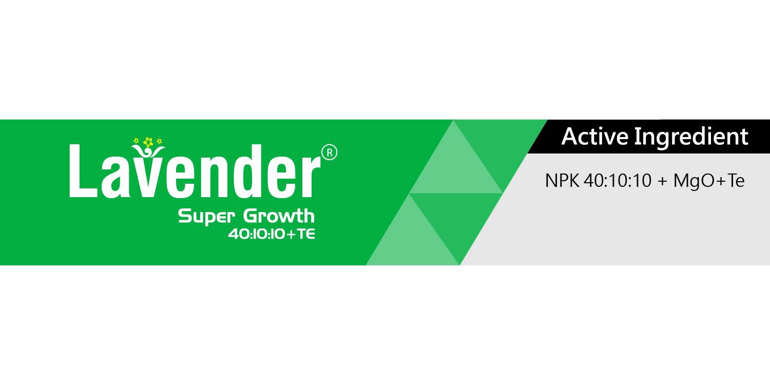 Lavender Super Vegetative - 1 Litre | Agroduka Limited