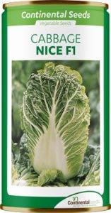 Hybrid Chinese Cabbage Nice F1 | Agroduka Limited