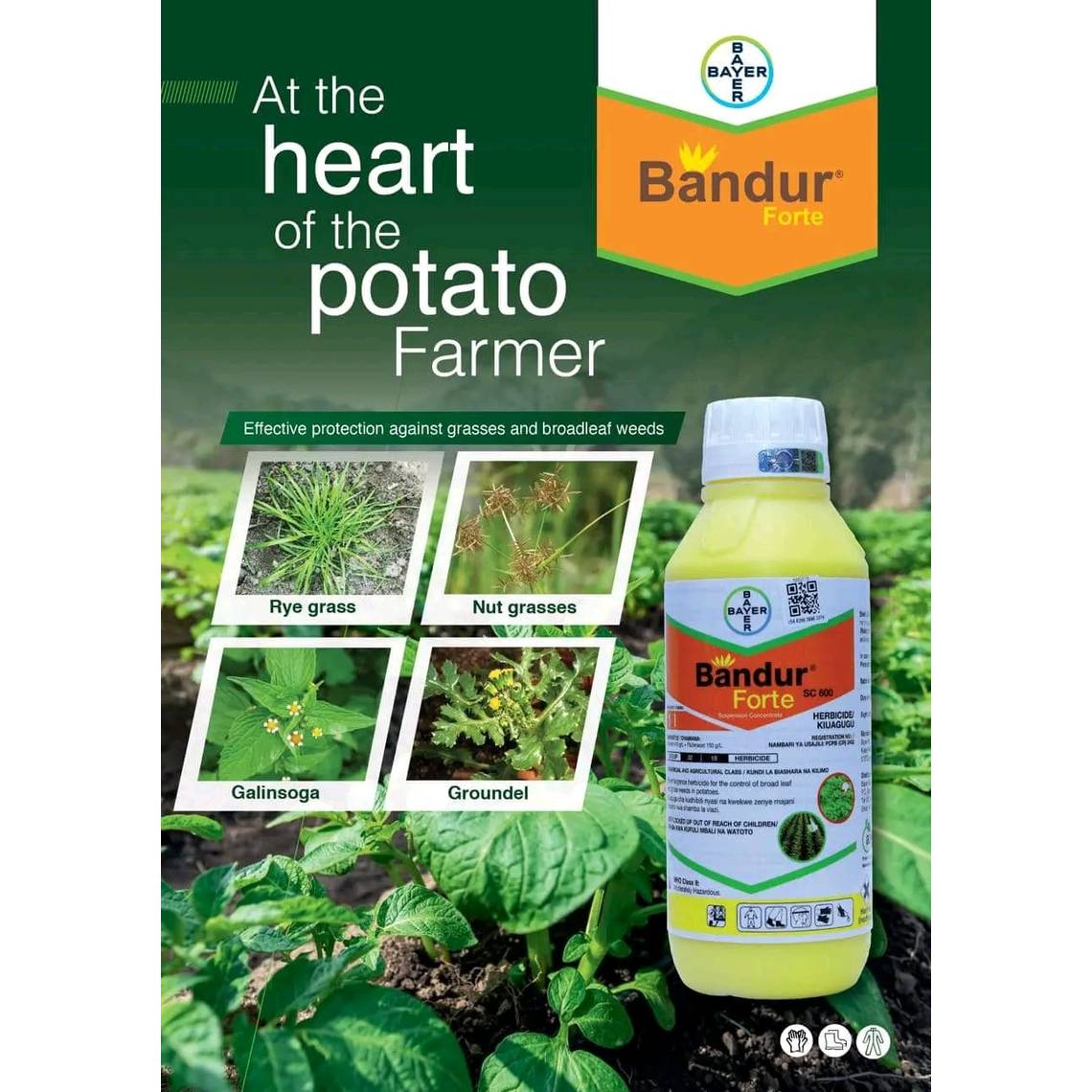 Bandur Forte SC 600 | Herbicides | Agroduka Limited