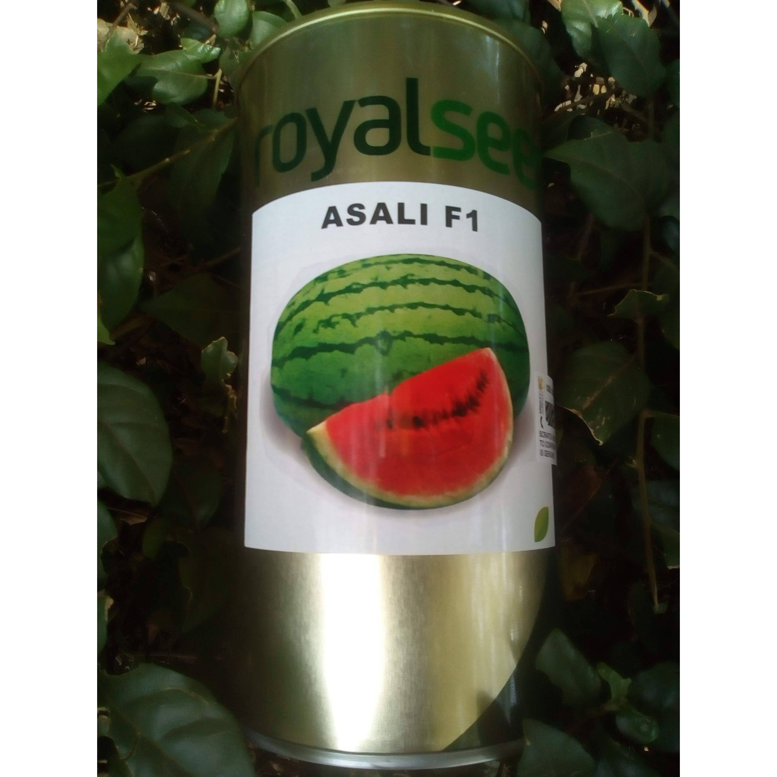 Asali F1 | Agroduka Limited