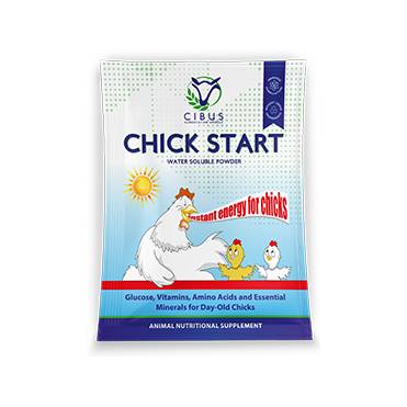 Chick Start | Agroduka Limited