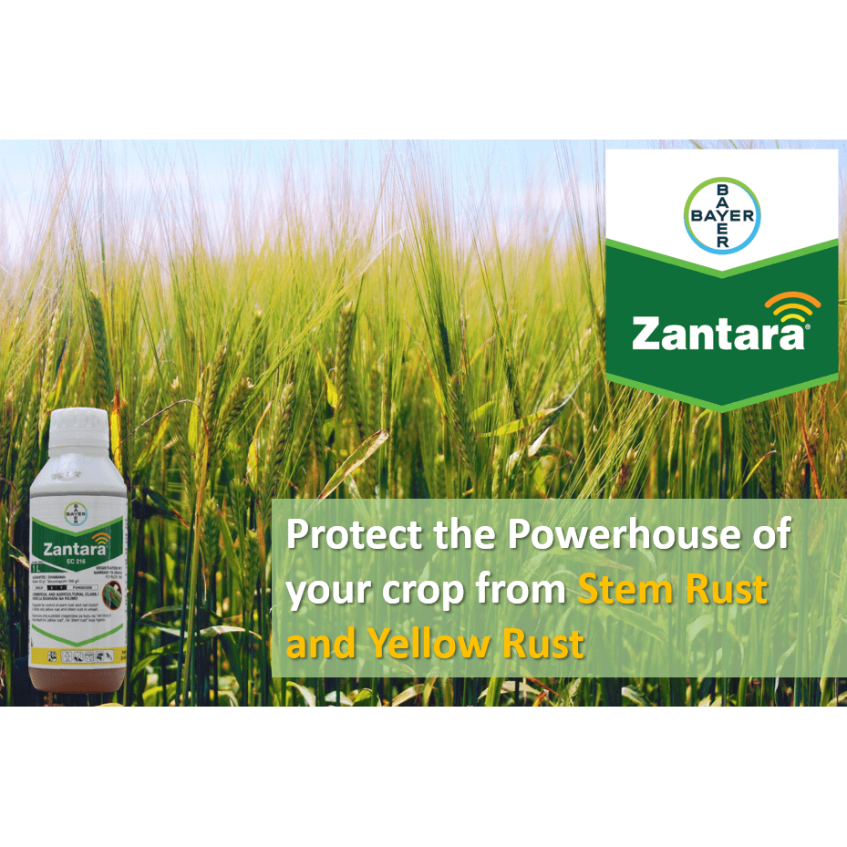 Zantara® EC 216 | Agroduka Limited